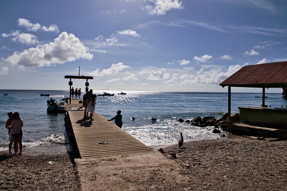 Playa Grandi - Schnorcheln mit Schildkröten - Curacao Urlaub 2026 ...