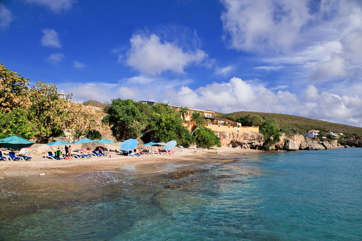Playa Grandi - Schnorcheln mit Schildkröten - Curacao Urlaub 2026 ...